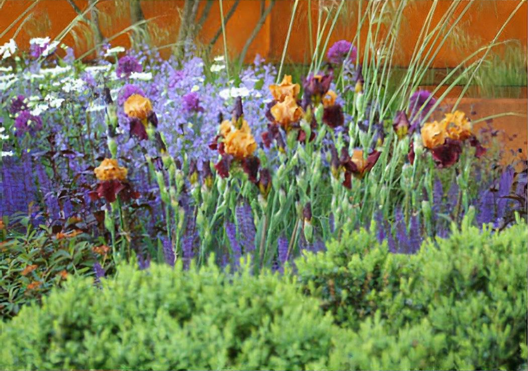 The daily telegraph garden