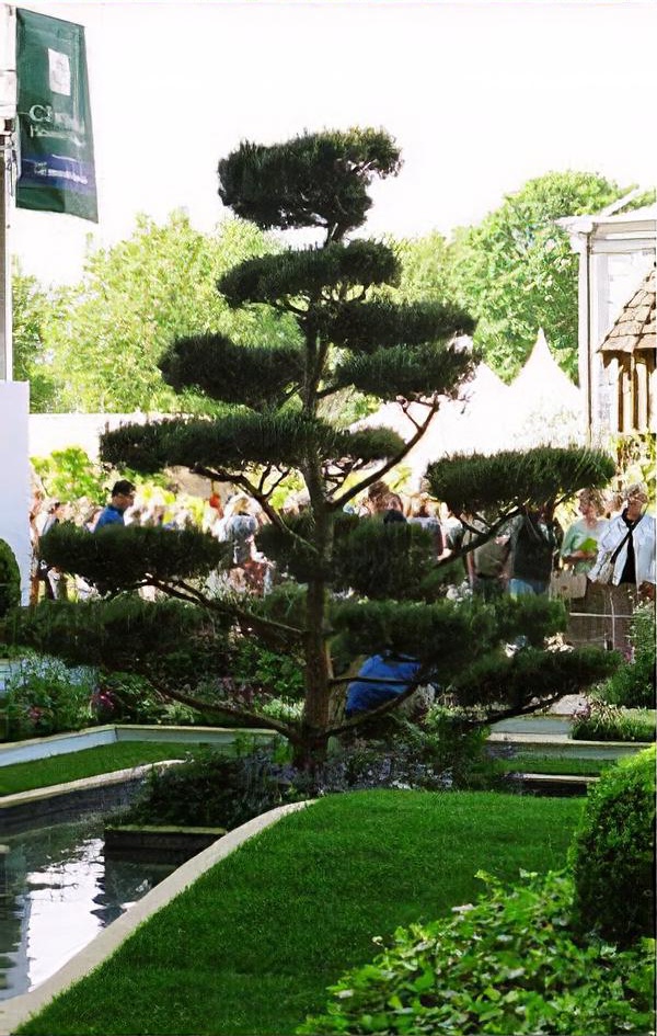 The trailfinders recycled garden